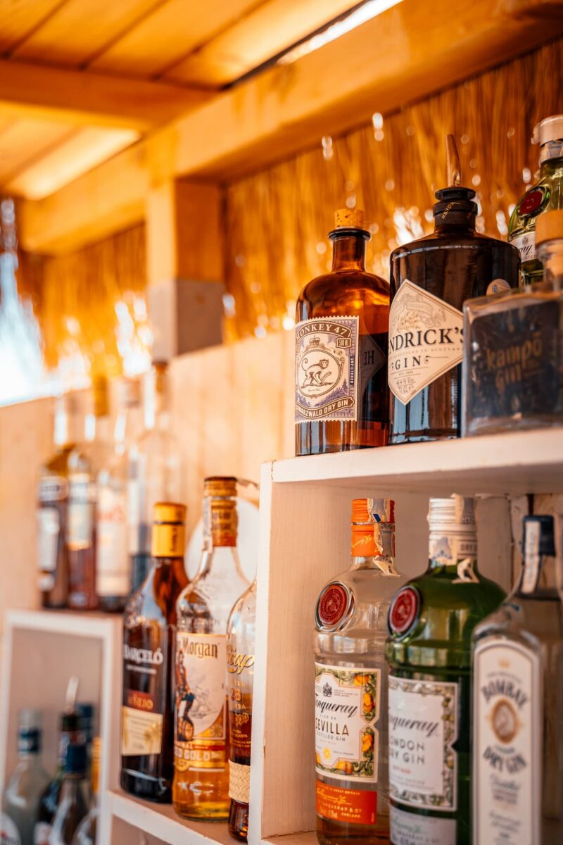 A planned outing, come and see the Monkey Ibiza bar in Sant Antoni!